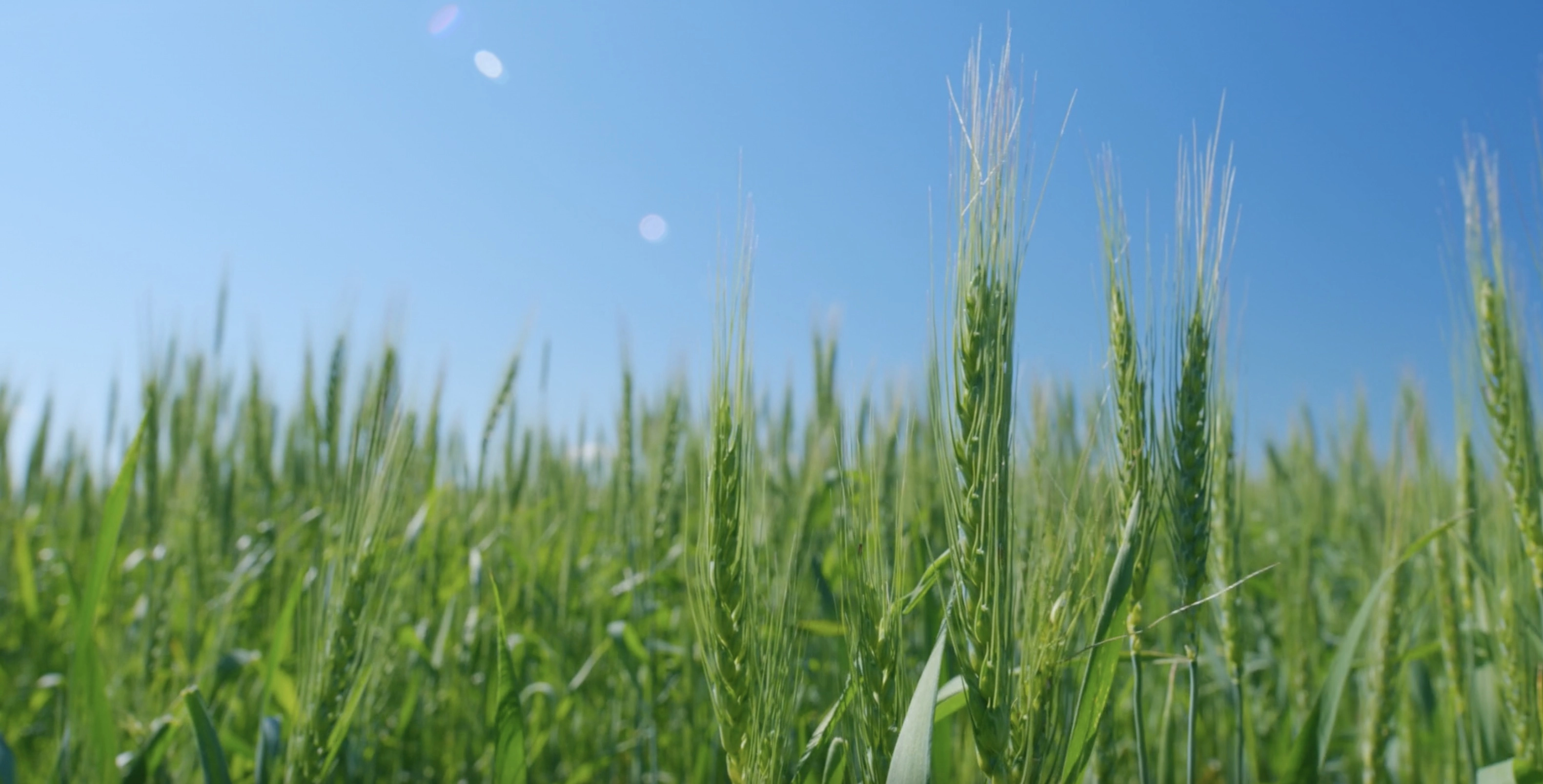 Jebagro - Competence in crop protection and fertilizers